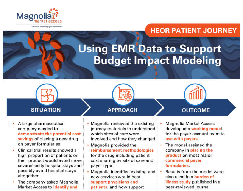 Using EMR Data to Support Budget Impact Modeling - Magnolia Market Access