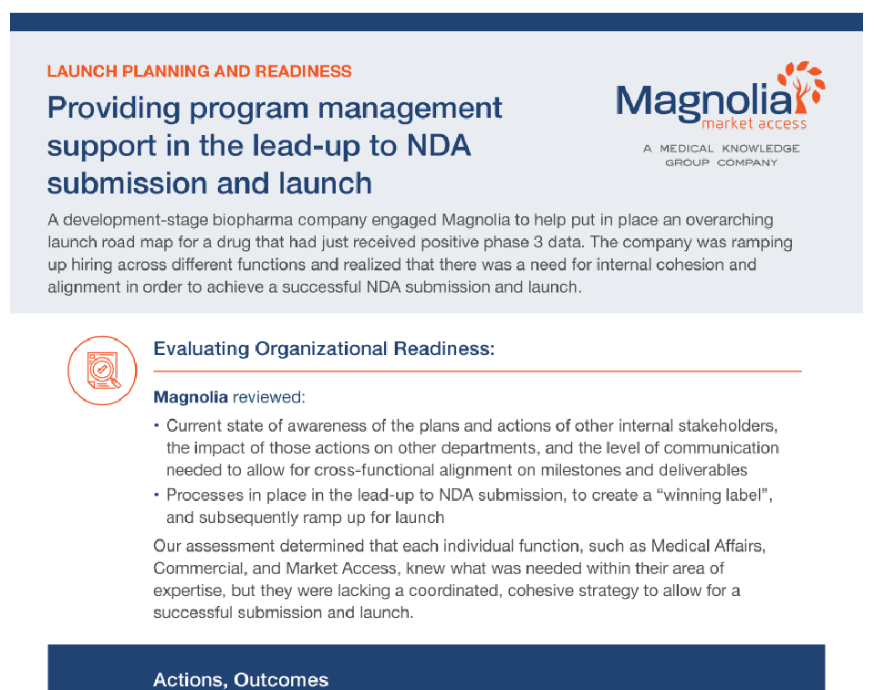 Providing program management support in the lead-up to NDA submission ...